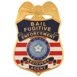 Bail Fugitive Enforcement With Flags
