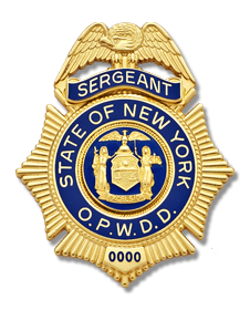 Custom and Anniversary Badges